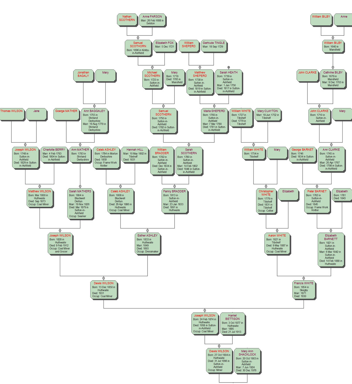 Wilson Tree – Graham and Barbara Family History